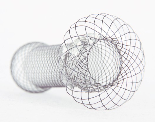 Cardia Stents - Luda Medica